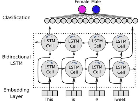 Bi LSTM Architecture For Gender Classification In A Tweet Download Scientific Diagram