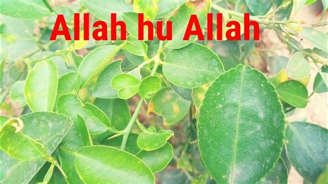 Classical Medley Hamd By Hafiz Tahir Qadri 2020 Youtube