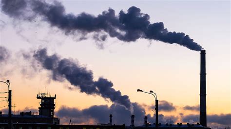‘carbon Neutral Claims That Rely On Offsets Face Uk Ban Fashnfly