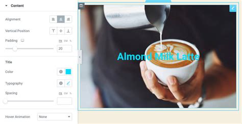 How To Add Text Over An Image In Elementor In Four Different Ways