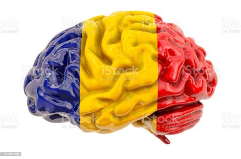 루마니아 국기와 인간의 두뇌 루마니아 개념의 과학 연구 및 교육 흰색 배경에 고립 된 3d 렌더링 3차원 형태에 대한 스톡 사진