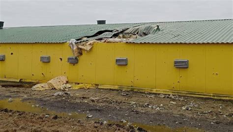 Гладков рассказал об обстреле хутора Церковный Белгородской области