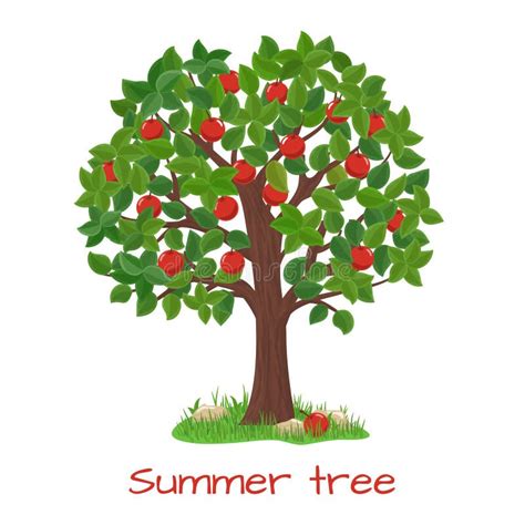 Apple Tree Life Stage Set With Cultivation Symbols Realistic Vector