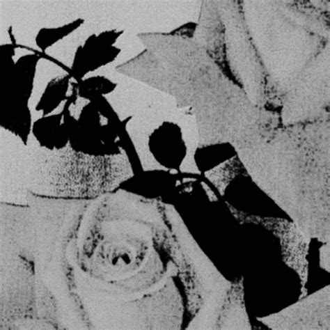 Rose By Ashmute Single Slowcore Reviews Ratings Credits Song