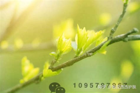 脸上长激素脸怎么处理，激素脸是修复还是排出 知乎