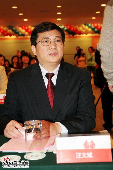 图文：央视国际网络有限公司总经理汪文斌影音娱乐新浪网
