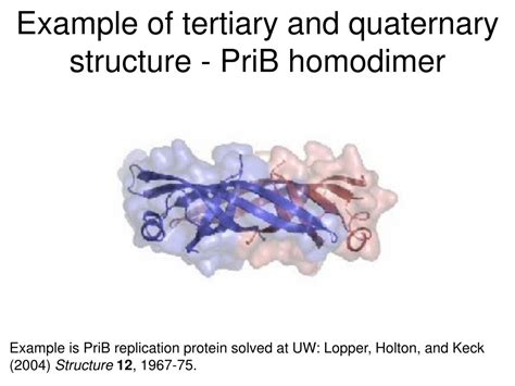 PPT Lecture 1 Fundamentals Of Protein Structure PowerPoint
