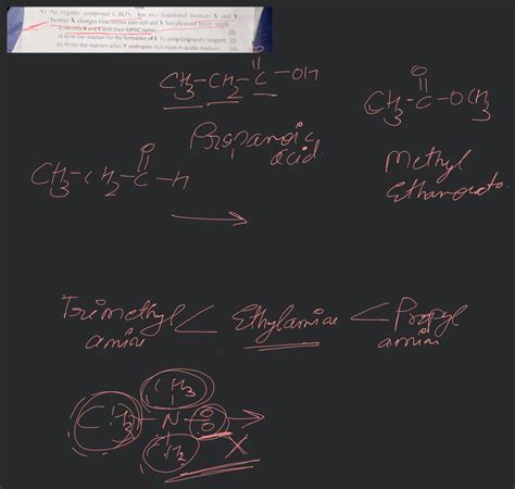 A An Organic Compound C3 H6 O2 Has Two Functional Isomers X And Y Isom