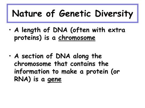 Genetic Diversity Diagram