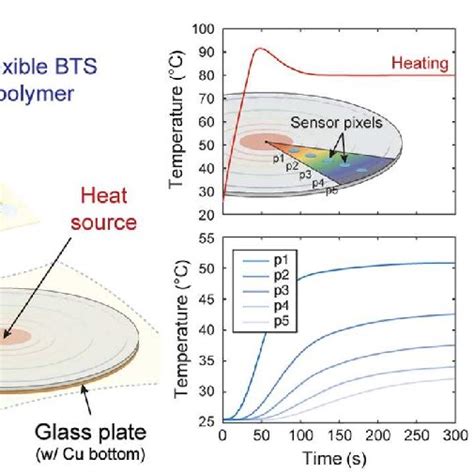 Temperature Sensing Array Based On Flexible Bts Polymer A Schematic Download Scientific