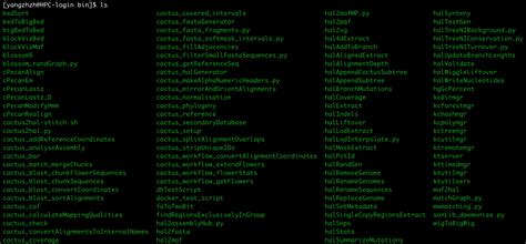 Didnt Find Cactus After Installing Using Binary Version · Issue 367