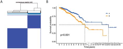 细胞外基质（ecm）联合t细胞做生信，旧貌换新颜，肿瘤分型 预后模型 实验验证思路，带你轻松玩转8分 ！ 知乎
