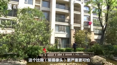女子投诉邻居私装摄像遭反驳：你养狗从不牵绳凤凰网视频凤凰网