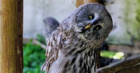 特定の感情・狭い思考にとどまるクライアントに気づきを促す！ Cblコーチング情報局