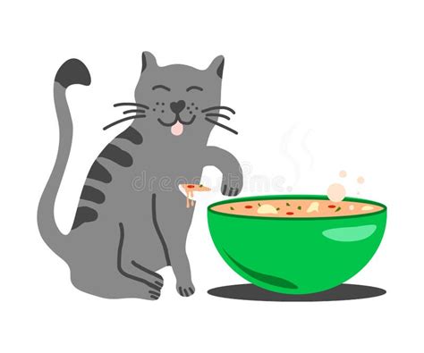 Funny Grey Color Cat Eating Food Brown Kitten Drinking Bowl Milk