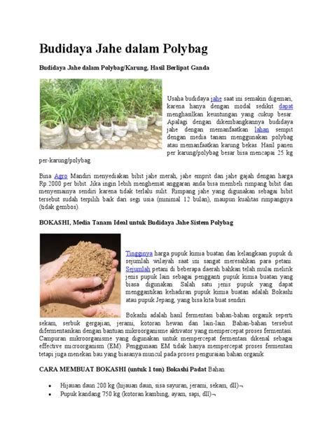 Budidaya Jahe Dalam Polybag Pdf