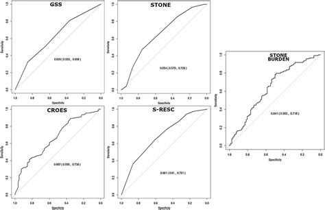 Does Success In Percutaneous Nephrolithotomy Depend Only On Stone Size