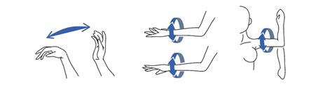 Understanding Sex Doll Move Range And Flexibility SNDoll