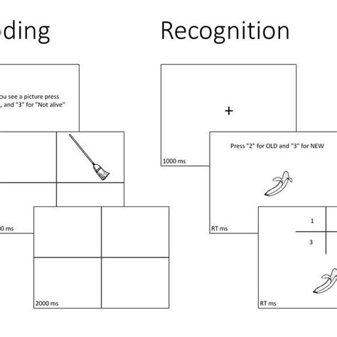 Example Trials From Encoding And Recognition Download Scientific Diagram
