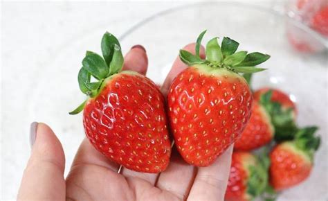 딸기 살때 이것만 확인하세요 맛있는 딸기 고르는 방법 최소의 레시피