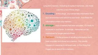 Long Term Memory PPT