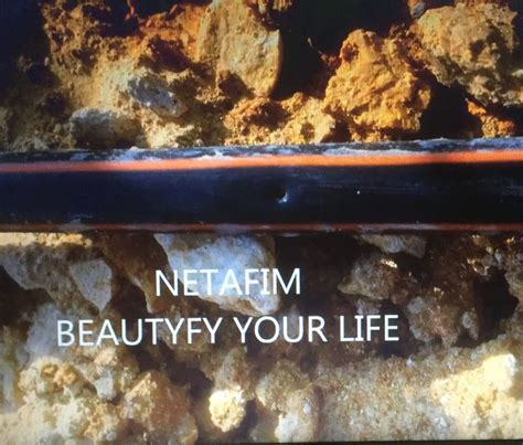 Expo2016 Netafim