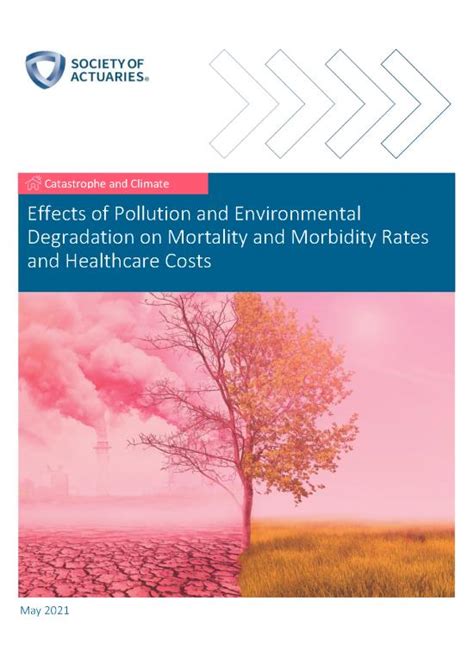 Research Pdf 55821 Effects Of Pollution And Environmental Degradation