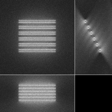 D Deconvolution Microscopy