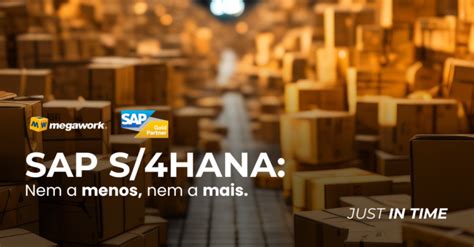 As Principais Consultorias Sap Do Mercado Como A Megawork Se Destaca