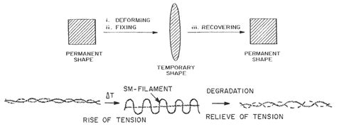 Biodegradable Shape Memory Polymeric Sutures Eureka Patsnap