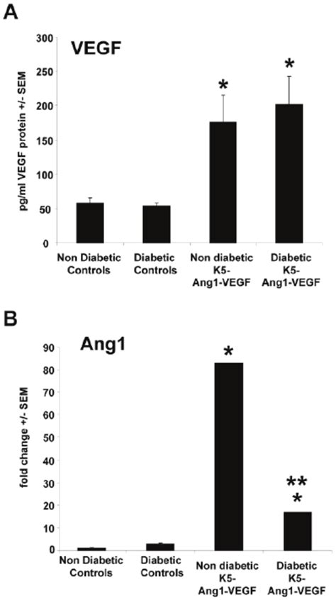 Vegf And Ang1 Expression In Control And K5 Ang1 Vegf Mice A Elisa