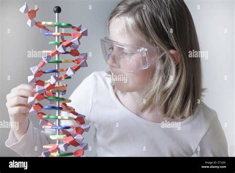 Girl Examining Molecular Model Stock Photo Alamy