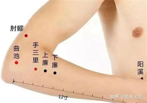 穴位小常识 曲池穴 知乎