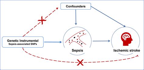 frontiers sepsis as an independent risk factor in atrial fibrillation and cardioembolic stroke