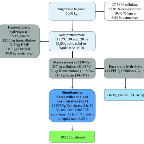 Flowchart Of Semi Simultaneous Saccharification And Fermentation