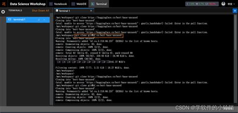Datawhale Ai夏令营 Nlp实践：基于论文摘要的文本分类与关键词抽取挑战赛——进阶篇checkout Your