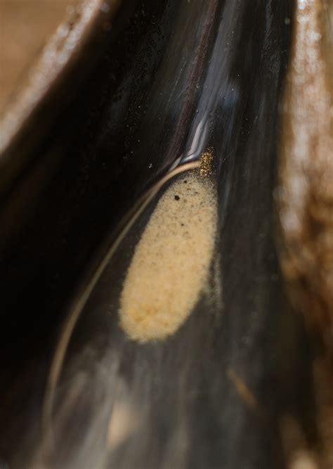 Material Value Chains Stories Assarée Assarée