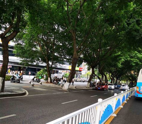 重庆渝中区七星岗街道重庆渝中区街道划分大山谷图库