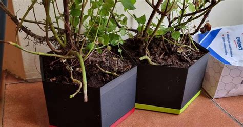 Hexapot Simple Hexagonal Parametric Plant Pot Stackable Fully