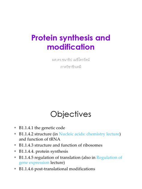 Protein Synthesis And Modification Handout2025 Pdf Translation Biology Ribosome