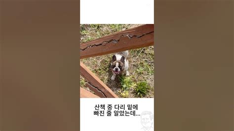 힝~ 속았징 Youtube