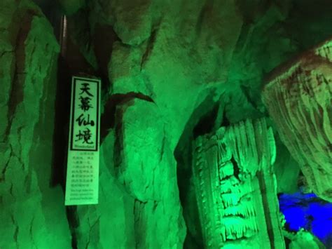 2025上海游龙石文化科普馆游玩攻略 整个科普馆是由一个很大的场 去哪儿攻略
