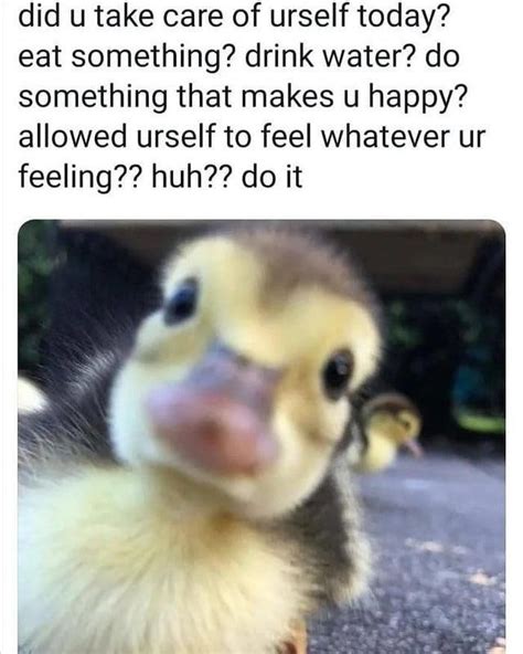 How To Make Wholesome Memes Funny Memes
