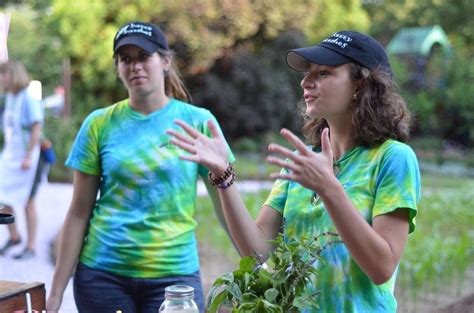 How To Forage For Edible Plants In The Wild Off The Beaten Grid