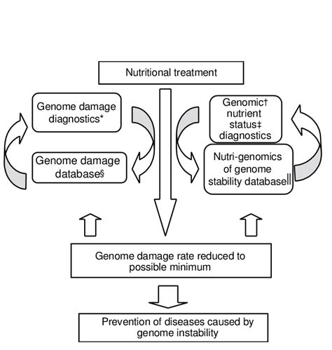 The Concepts Of Gene Diet And Gene Toxin For Example Oxidative