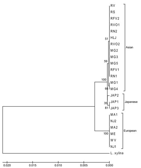 Phylogenetic Tree Constructed By UPGMA Method Based On The Entire COI Download Scientific
