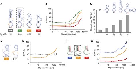Experimental Validation Of Aptamer Tuning Strategies A Theophylline