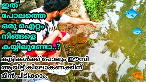 എല്ലാർക്കും മീൻ പിടിക്കാംkerala Traditional Fishingfishing Malayalam