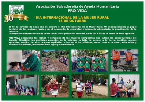 15 De Octubre De Cada Año Se Celebra El Día Internacional De Las
