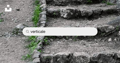 Verticule Photos Télécharger Des Images Gratuites Sur Unsplash